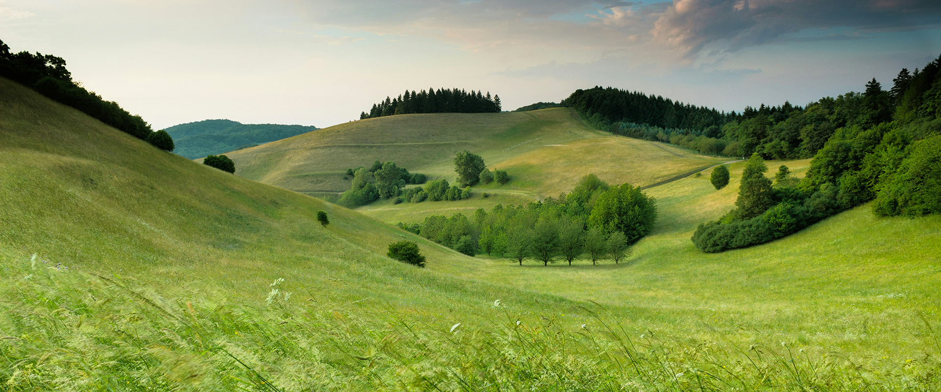 Découvrir la ville de Frasne | Mairie de Frasne